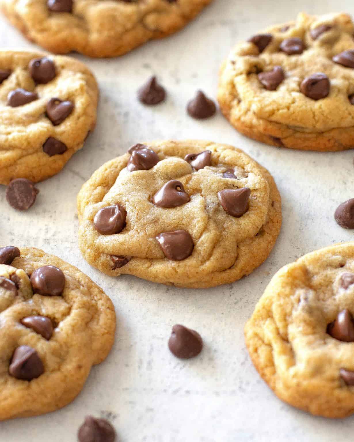 My Big, Fat, Chewy Chocolate Chip Cookies | The Girl Who Ate Everything