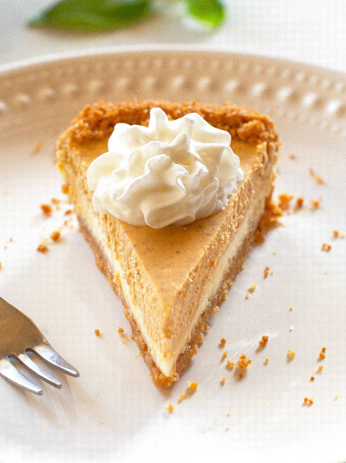 Double Layer Pumpkin Cheesecake - The Girl Who Ate Everything