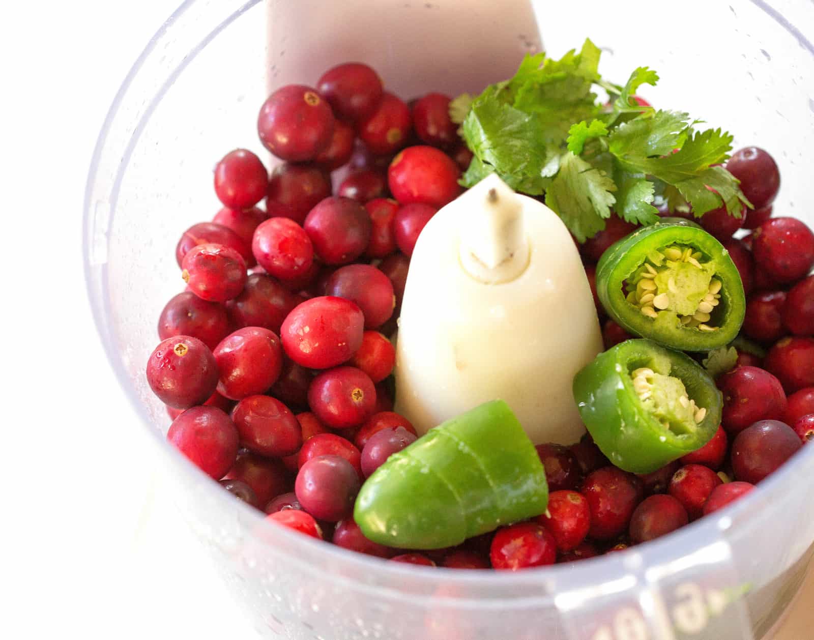 Cranberry Salsa | The Girl Who Ate Everything