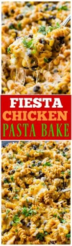 Fiesta Chicken Pasta Bake | The Girl Who Ate Everything