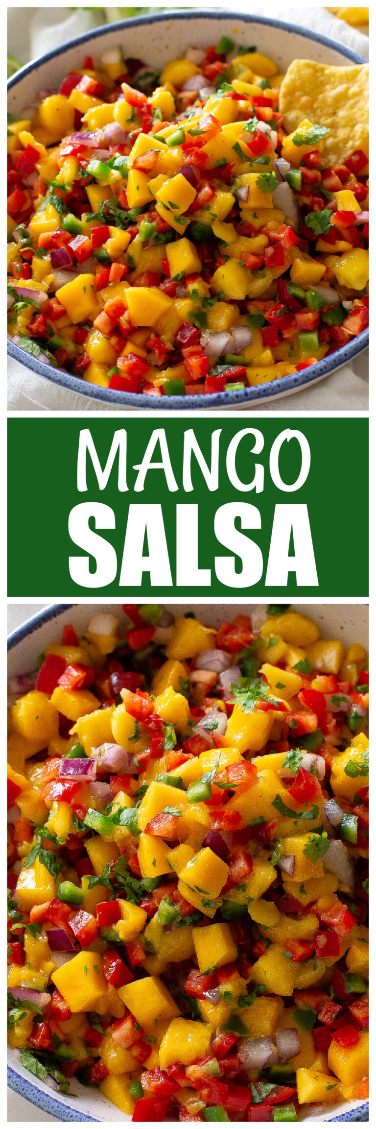 Mango Salsa | The Girl Who Ate Everything